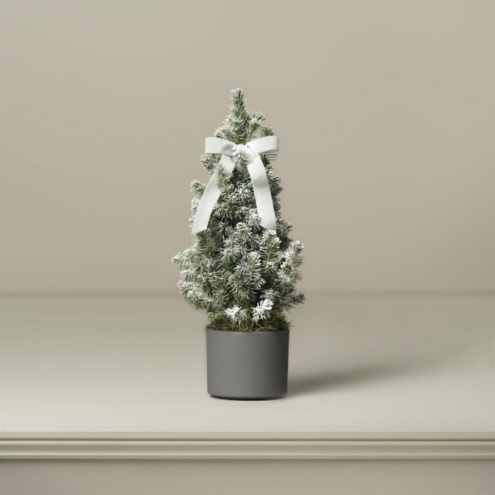 The Snowdon Silver Miniature Tree · Paul Thomas Flowers