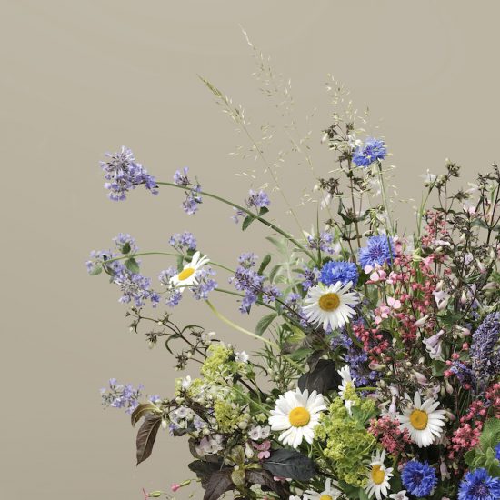 Dolly Mixture British Garden Flowers · Paul Thomas Flowers