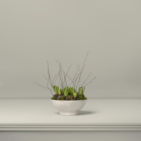 Shop · Paul Thomas Flowers